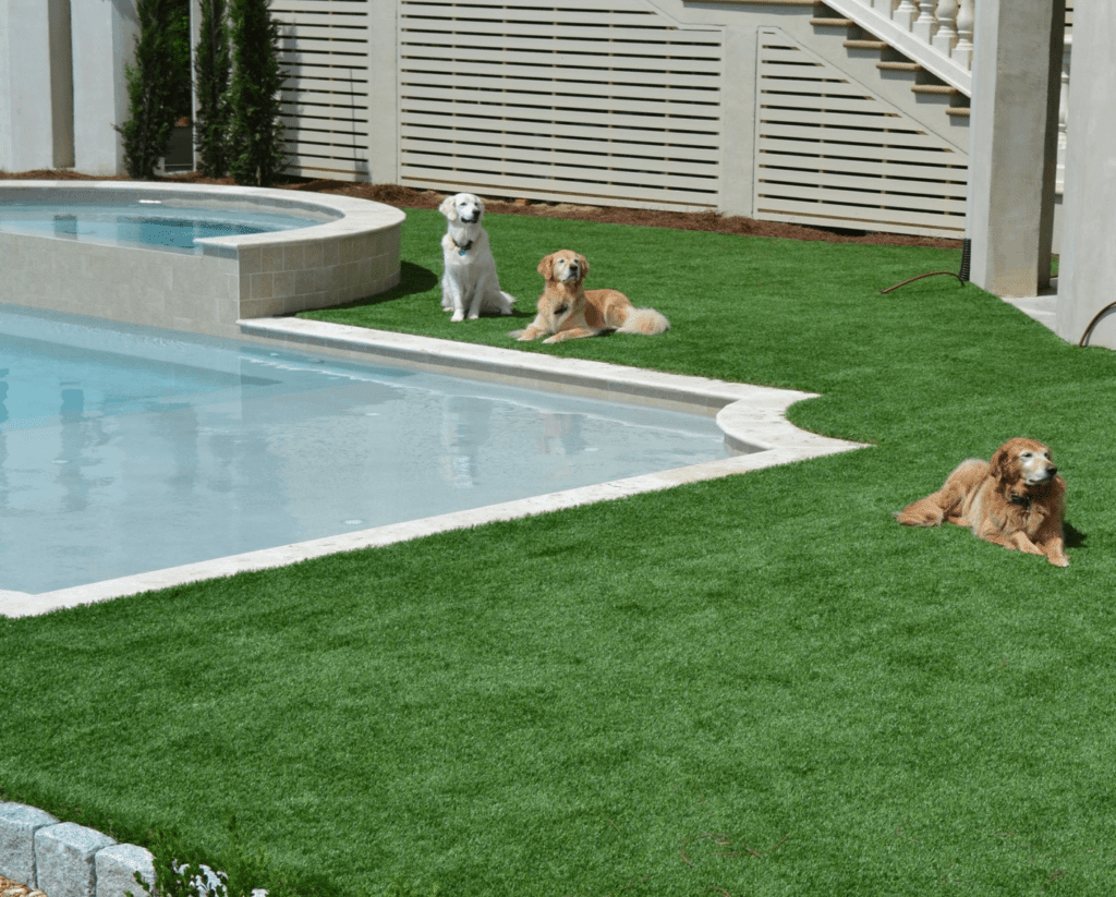 Artificial Turf Installation Amarillo, TX | The Grounds Guys